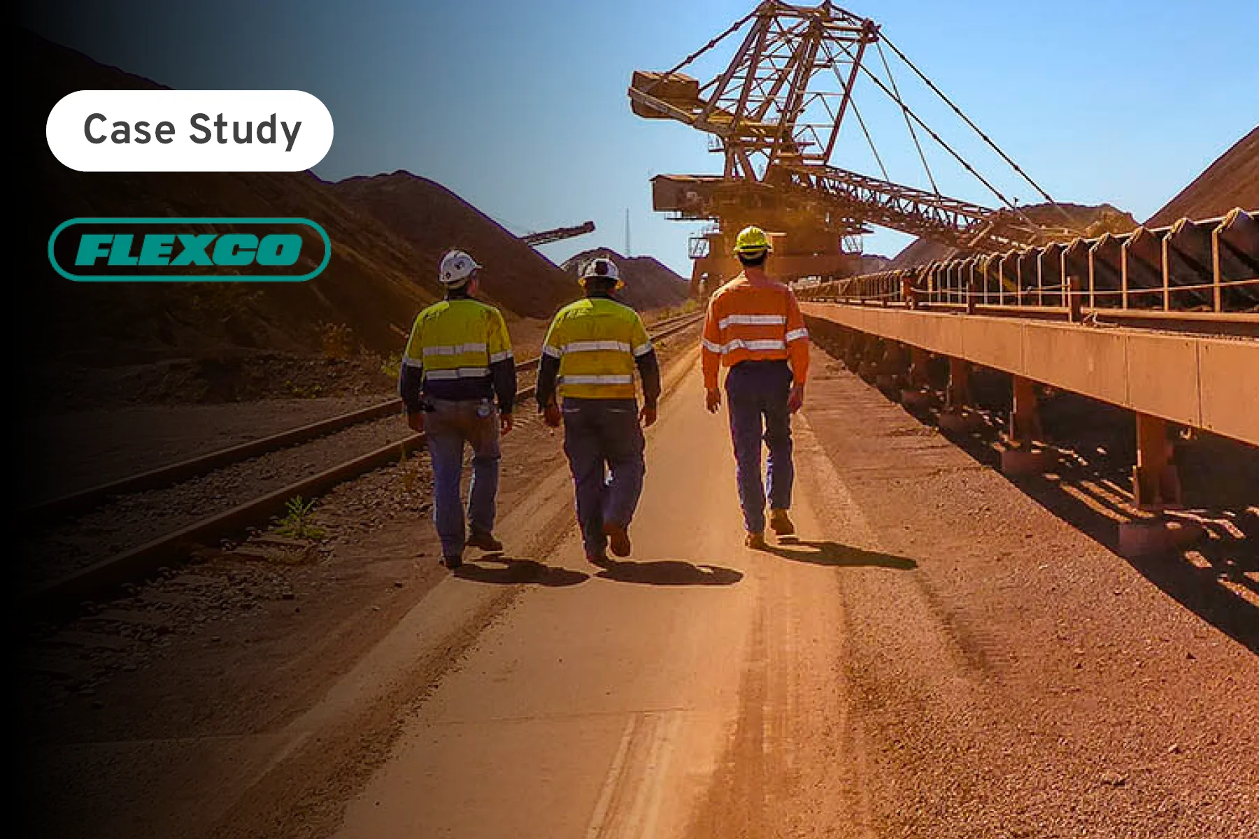 Case Study: Global Website Localization - Ingenuiti